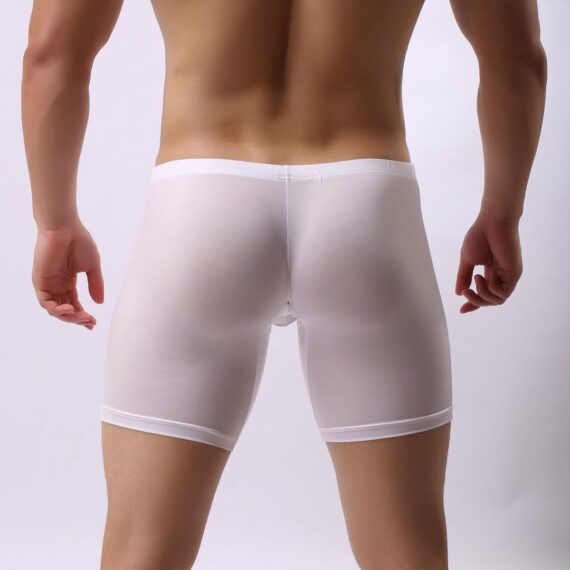 Mens Boxer Briefs Breathable Ice Silk Sports Inspired Underwear Lulunami