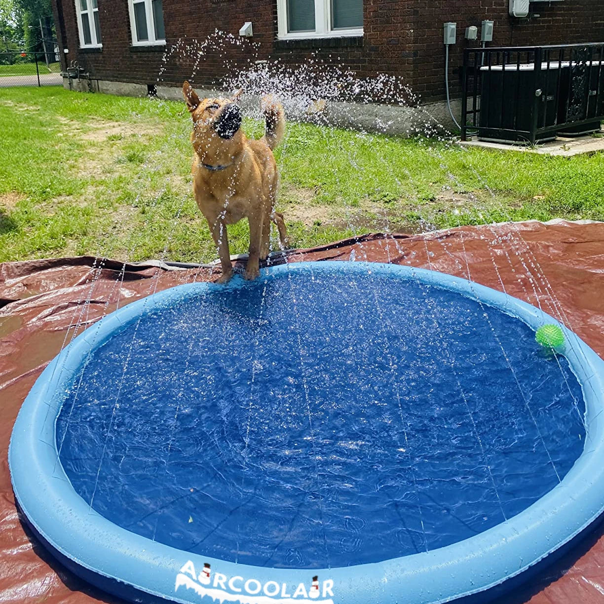 Splash Pad Lulunami